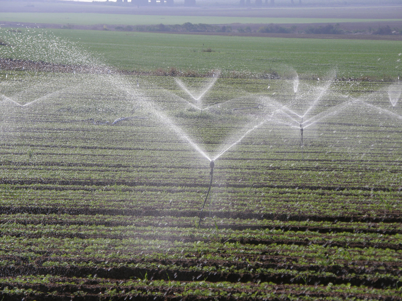 MegaNet 24D | Sprinkler Irrigation | Impact Sprinklers | Netafim India