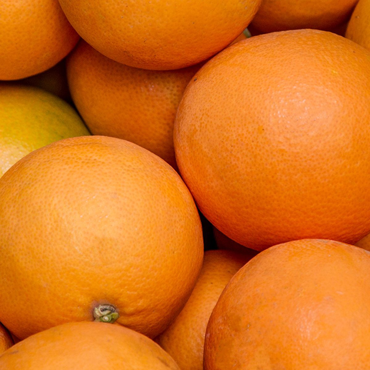 Citrus Farming with Drip Irrigation | Improve Citrus Yields