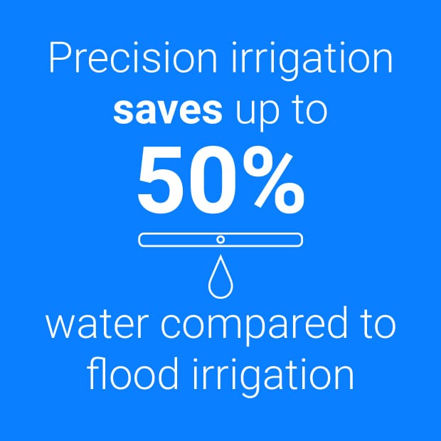 Precision Irrigation Systems for Optimal Crop Management | Netafim India