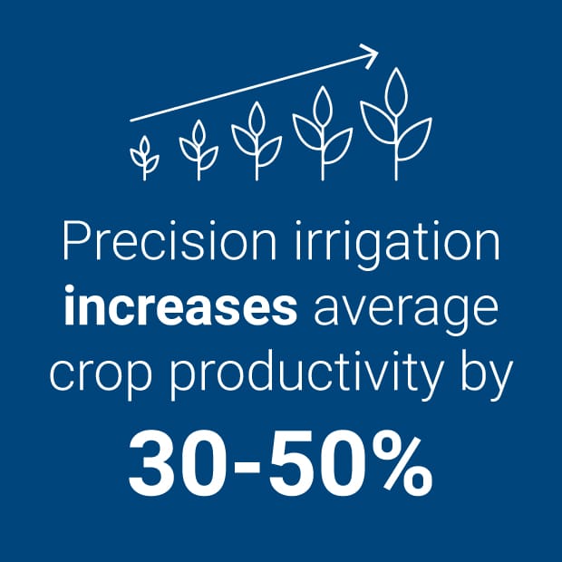 Precision Irrigation Systems for Optimal Crop Management | Netafim India