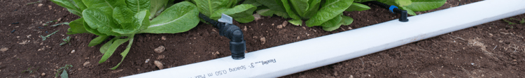 Transform Irrigation with FlexNet Leak-Free Flexible Pipes
