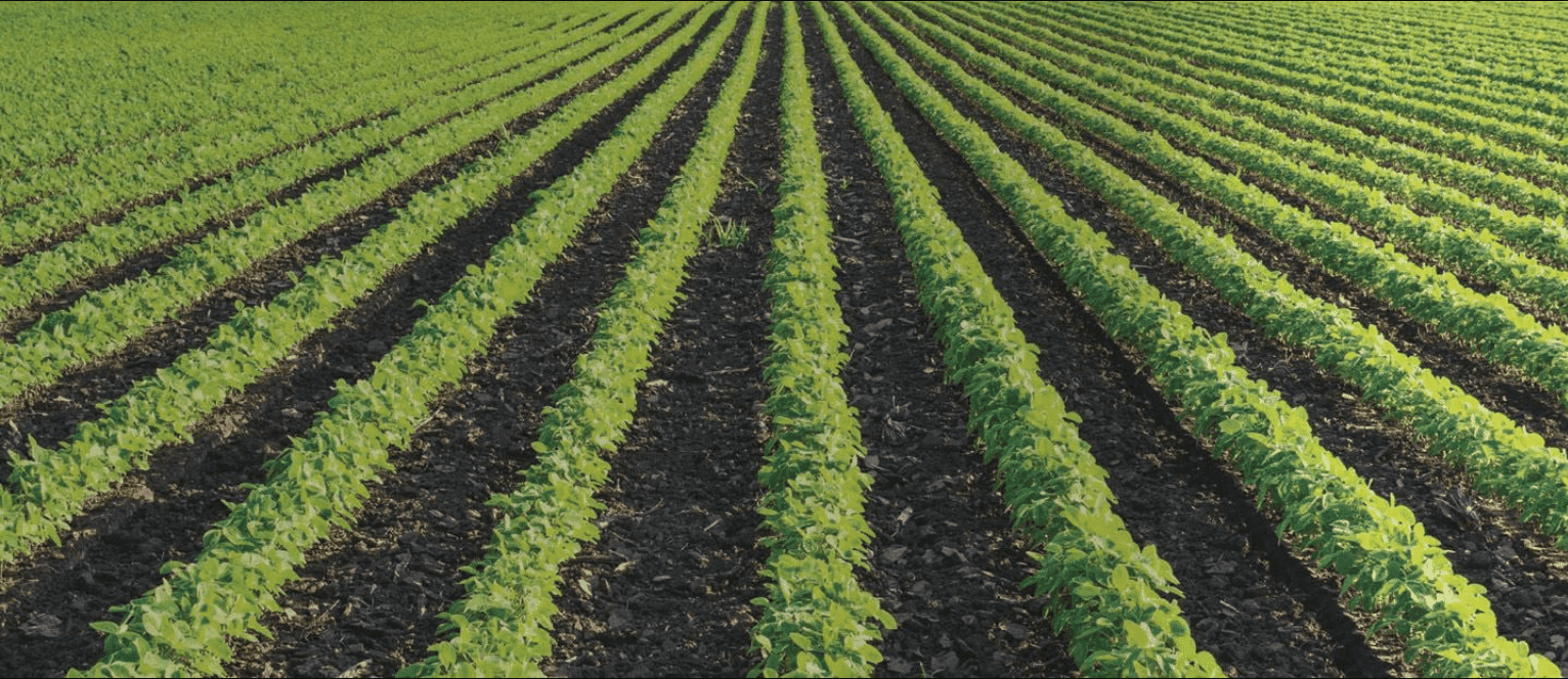Row Crops Irrigation: Optimizing Crop Growth with Innovative Solutions ...