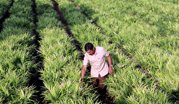 Micro Irrigation is The Key to Sustainable Agriculture