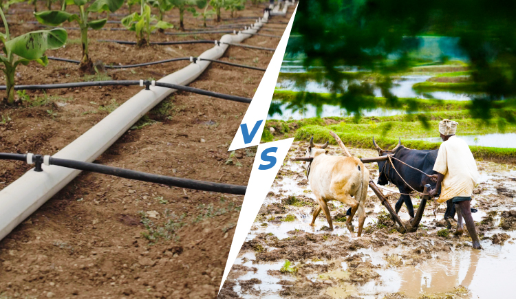 Precision Farming vs Traditional Farming: A Clear Comparison