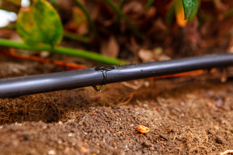 Drip Irrigation System Guide: Benefits & How It Works