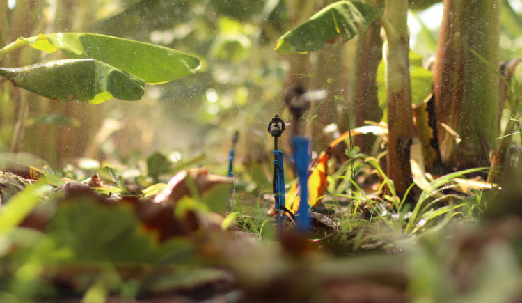 Micro Irrigation Smart Controllers for Indian Agriculture
