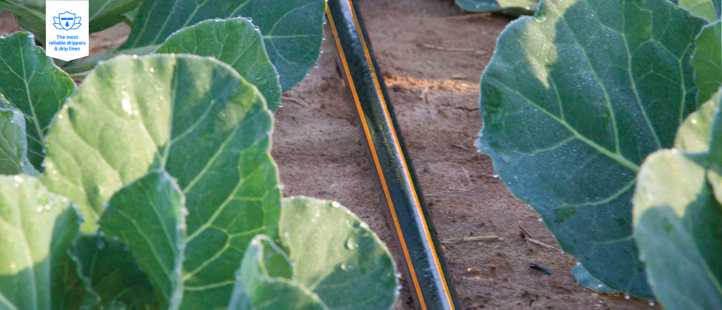 Drippers For Drip Irrigation: Efficient Dripline Systems, Inline Drip ...