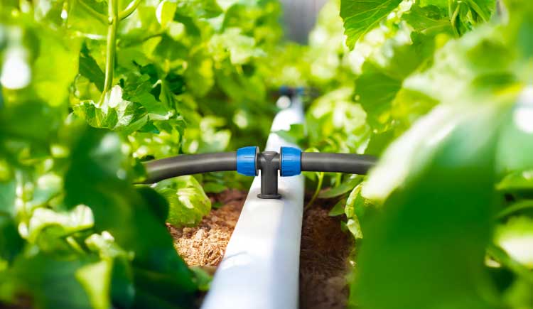 Maximize Farm Profit with Smart Drip Irrigation Pipes