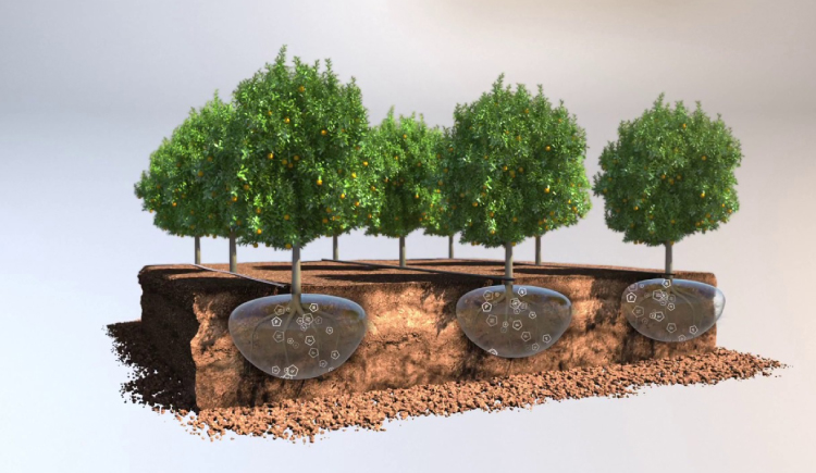 Everything You Need to Know About Pulse Irrigation