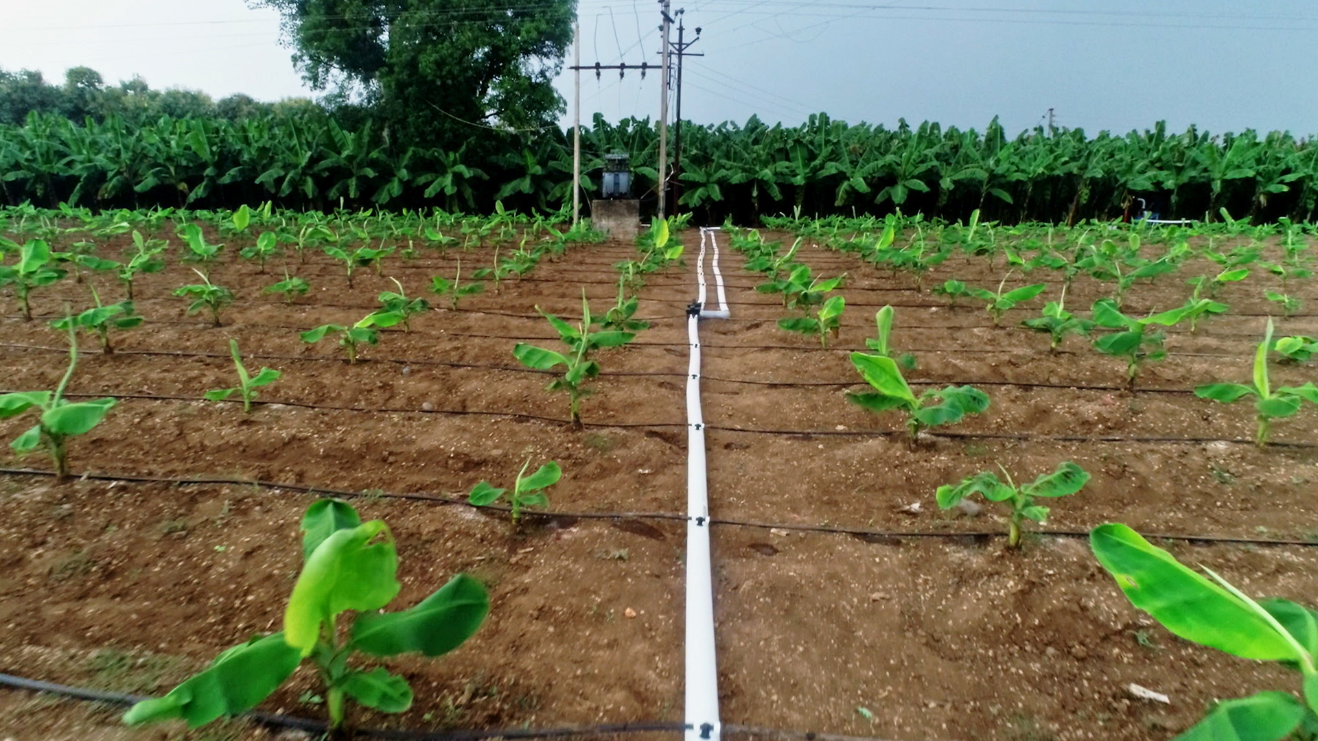 FlexNet & Streamline X: Smarter Solutions for Farmers