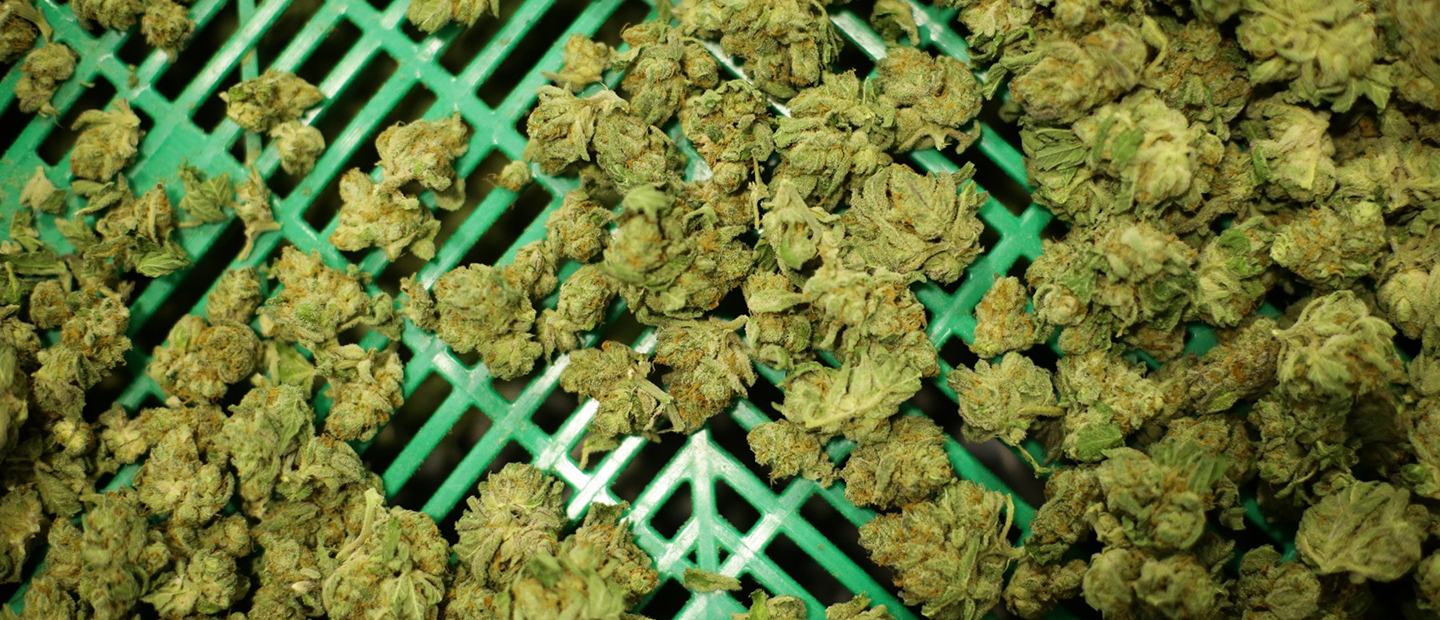 NetBow | Drippers & Driplines | Drip Irrigation Product | Netafim India