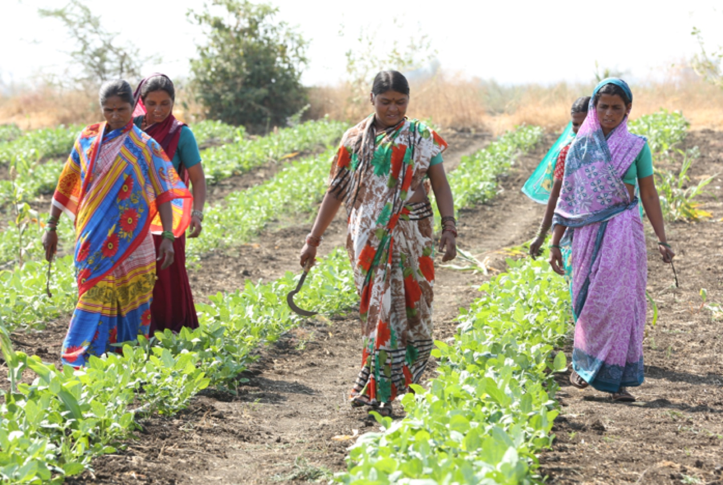 How Drip Irrigation is Empowering Women in Agriculture