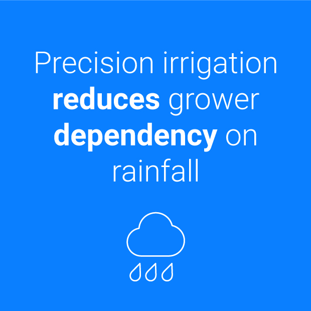 Precision Irrigation Systems for Optimal Crop Management | Netafim India