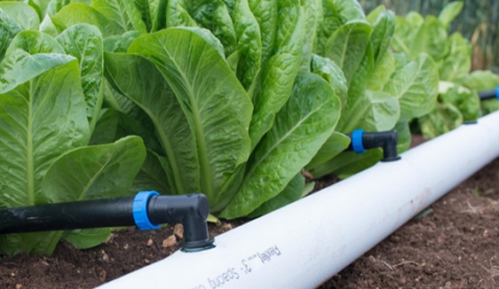 Lightweight Agricultural Irrigation Pipe for Easy Farming